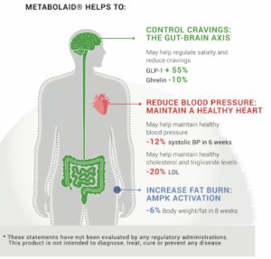 The Connection Between Metabolic Health and Brain Health | genetic ...